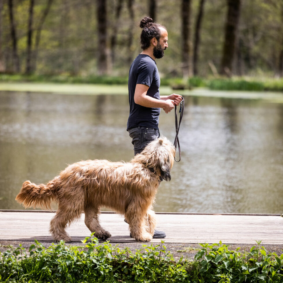 Workshops mit Sami El Ayachi | cleverdog.de